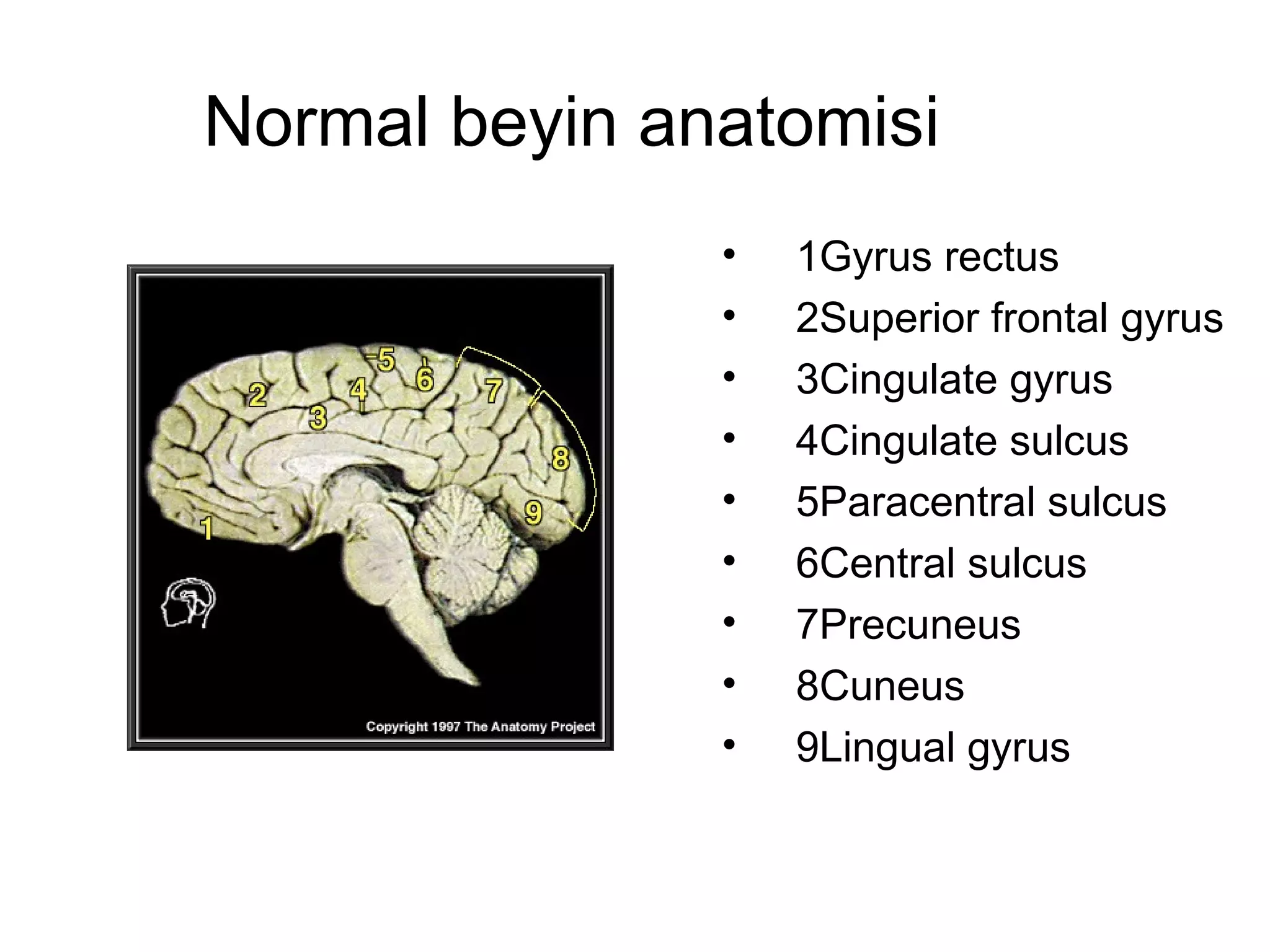 Normal fetal beyin nasildir | PPT | Pregnancy | Reproductive Health