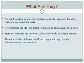Normal flora | PPT