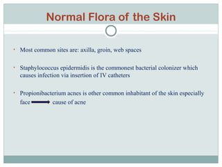 Normal flora | PPT