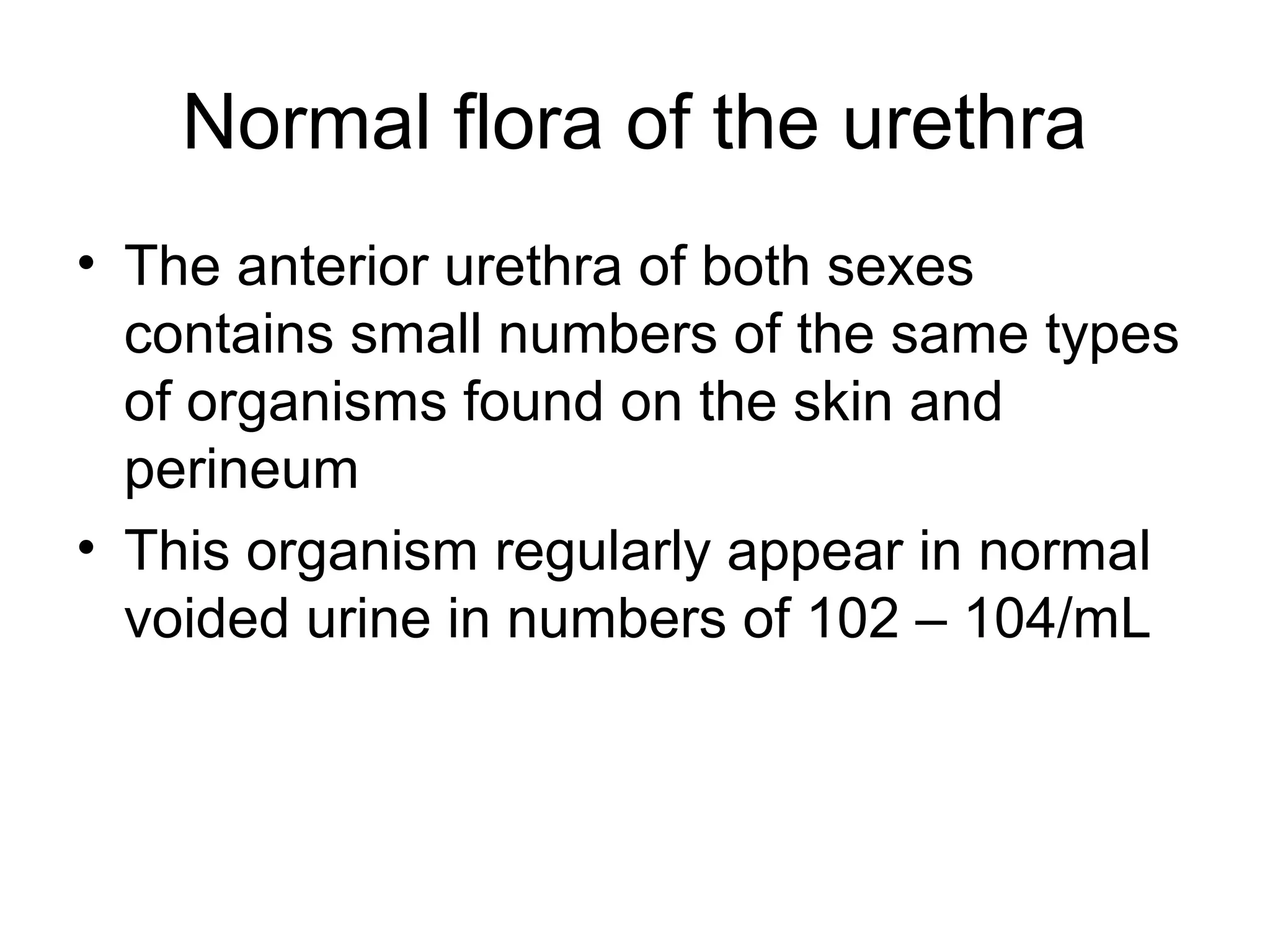 Normal flora | PPT