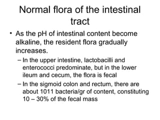 Normal flora | PPT