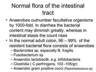 Normal flora | PPT