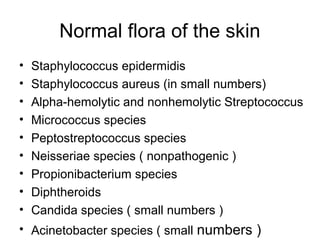 Normal flora | PPT