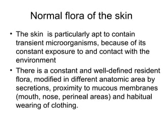 Normal flora | PPT