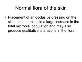 Normal flora | PPT