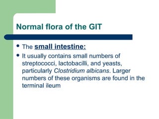 Normal flora | PPT