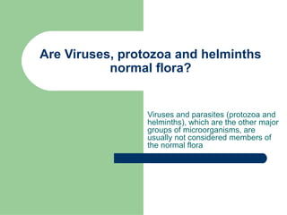 Normal flora | PPT