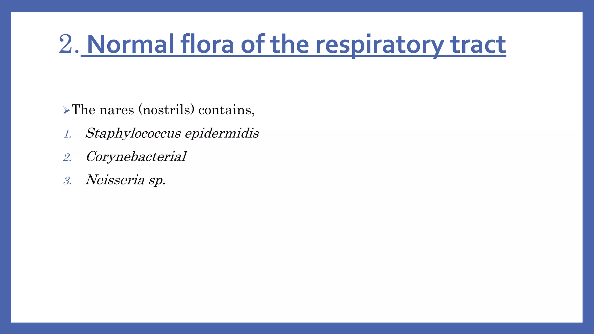 Normal flora | PPTX | Infectious Diseases | Diseases and Conditions