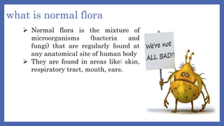 Normal flora | PPTX | Infectious Diseases | Diseases and Conditions