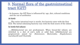 Normal flora | PPTX | Infectious Diseases | Diseases and Conditions