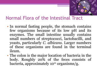 Normal Flora | PPTX