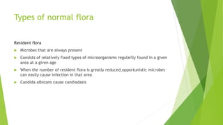 NORMAL FLORA | PPTX