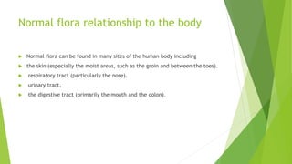 NORMAL FLORA | PPTX