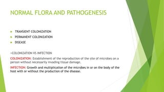 NORMAL FLORA | PPTX