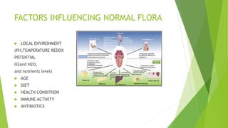 NORMAL FLORA | PPTX