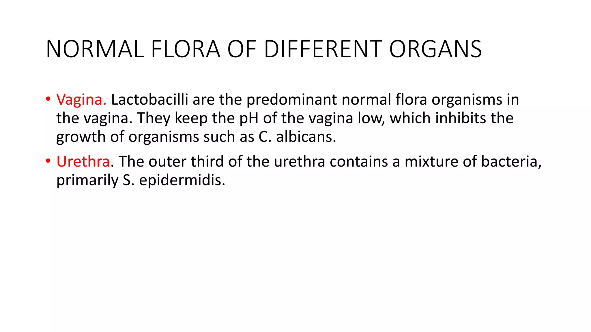 normal flora.pptx