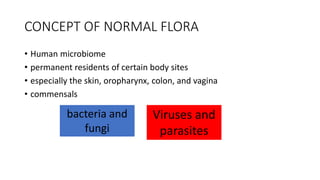 normal flora.pptx