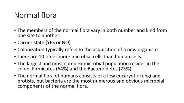 normal flora.pptx