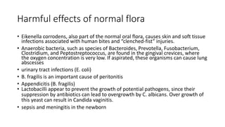 normal flora.pptx