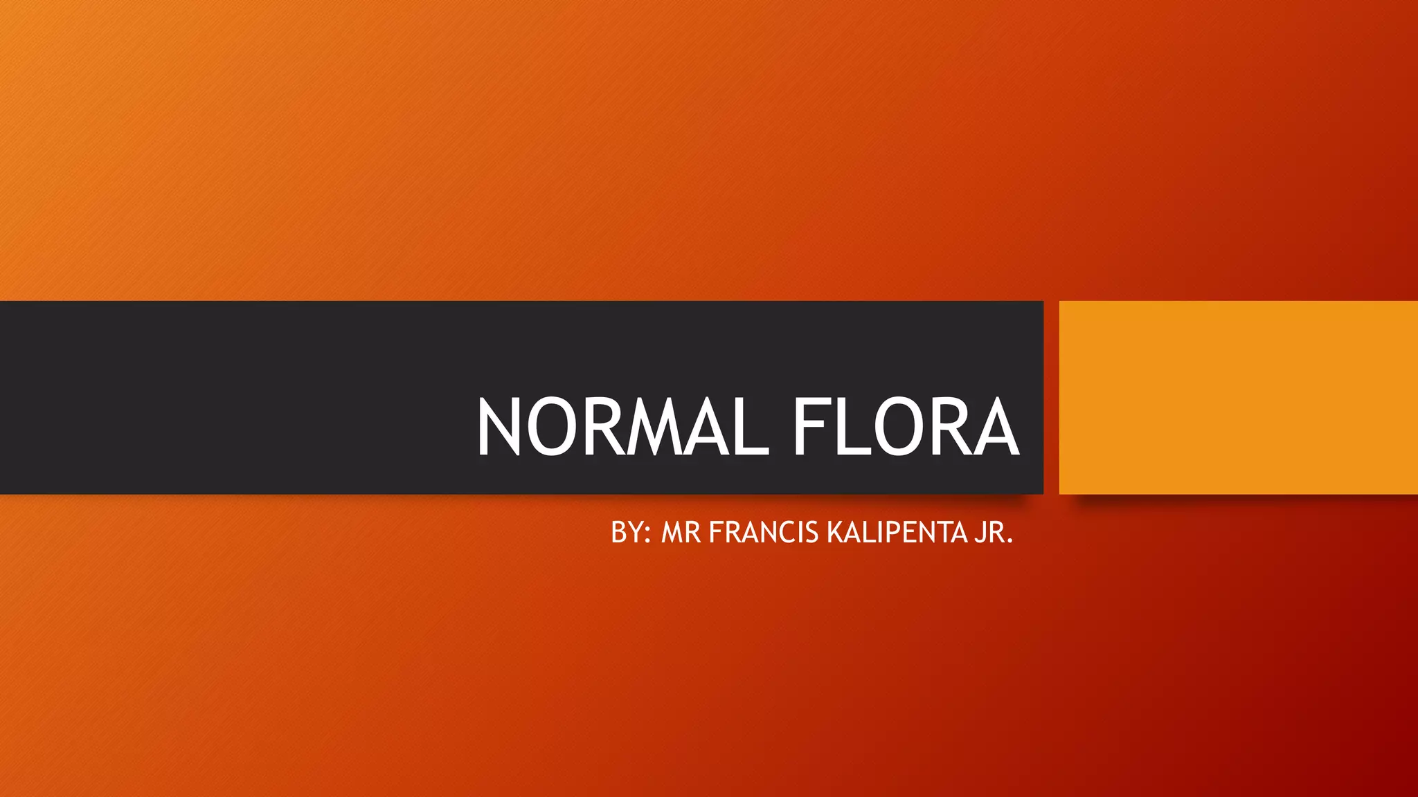 normal Flora.pdf
