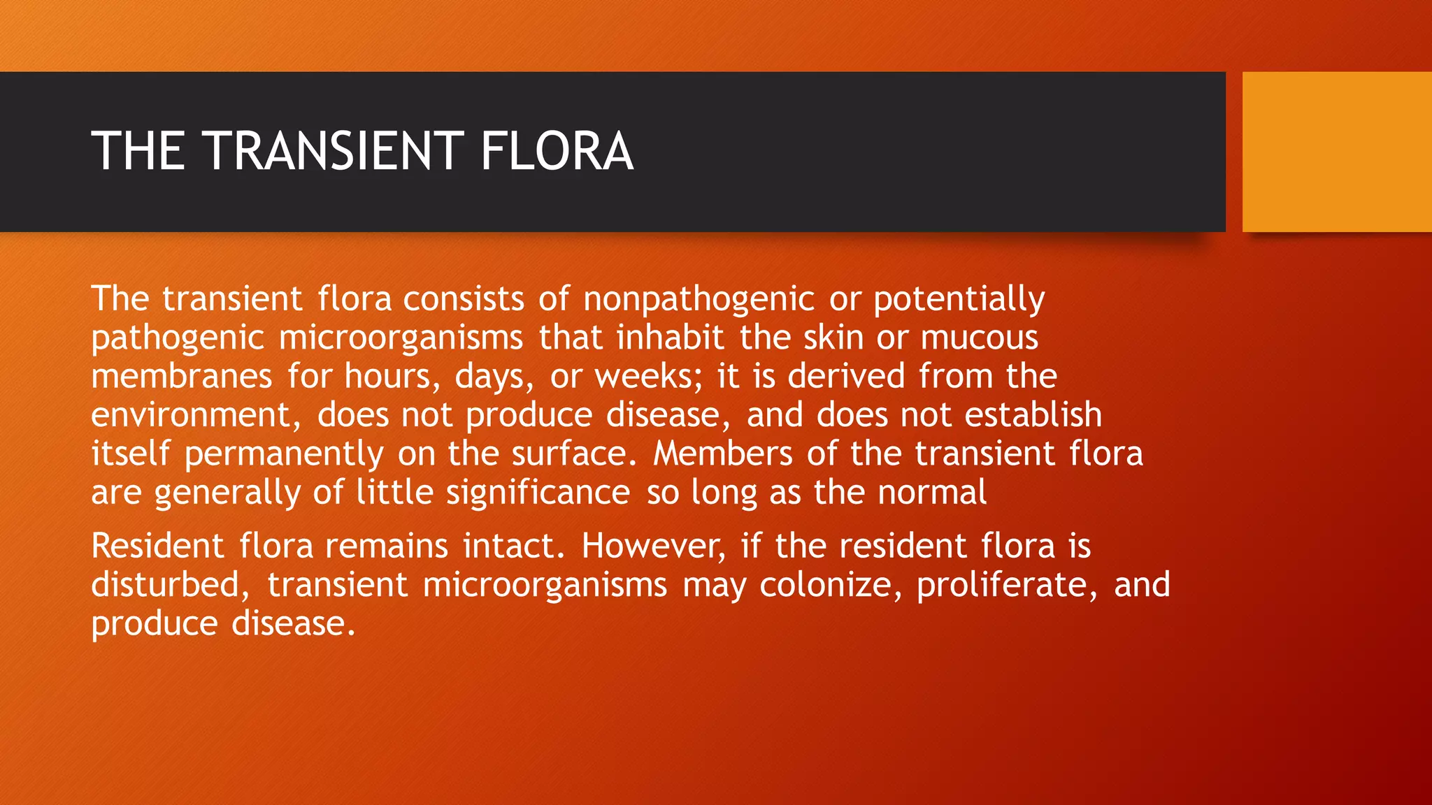 normal Flora.pdf