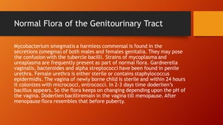 normal Flora.pdf