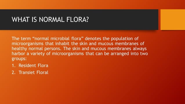 normal Flora.pdf