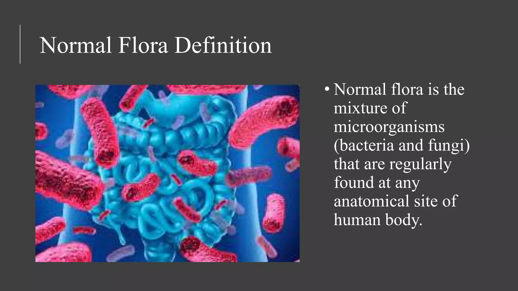 Normal Flora.pptx