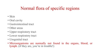 Normal Flora.pptx