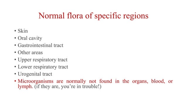 Normal Flora.pptx