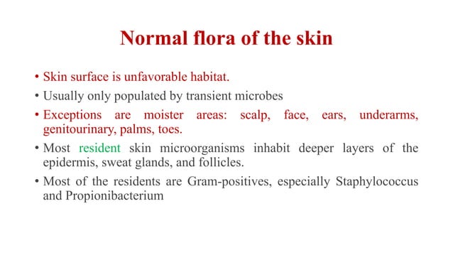 Normal Flora.pptx
