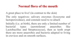Normal Flora.pptx
