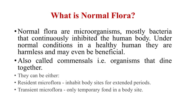 Normal Flora.pptx