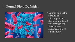 Normal Flora.pptx