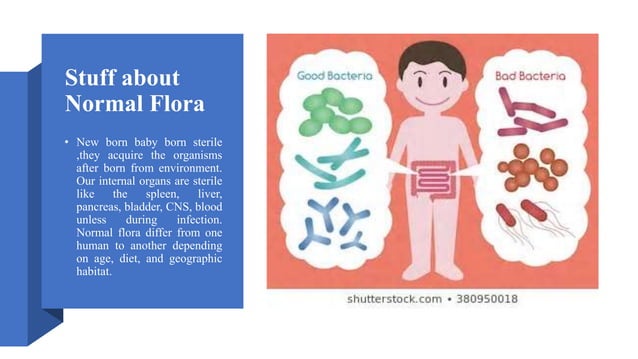 Normal Flora.pptx