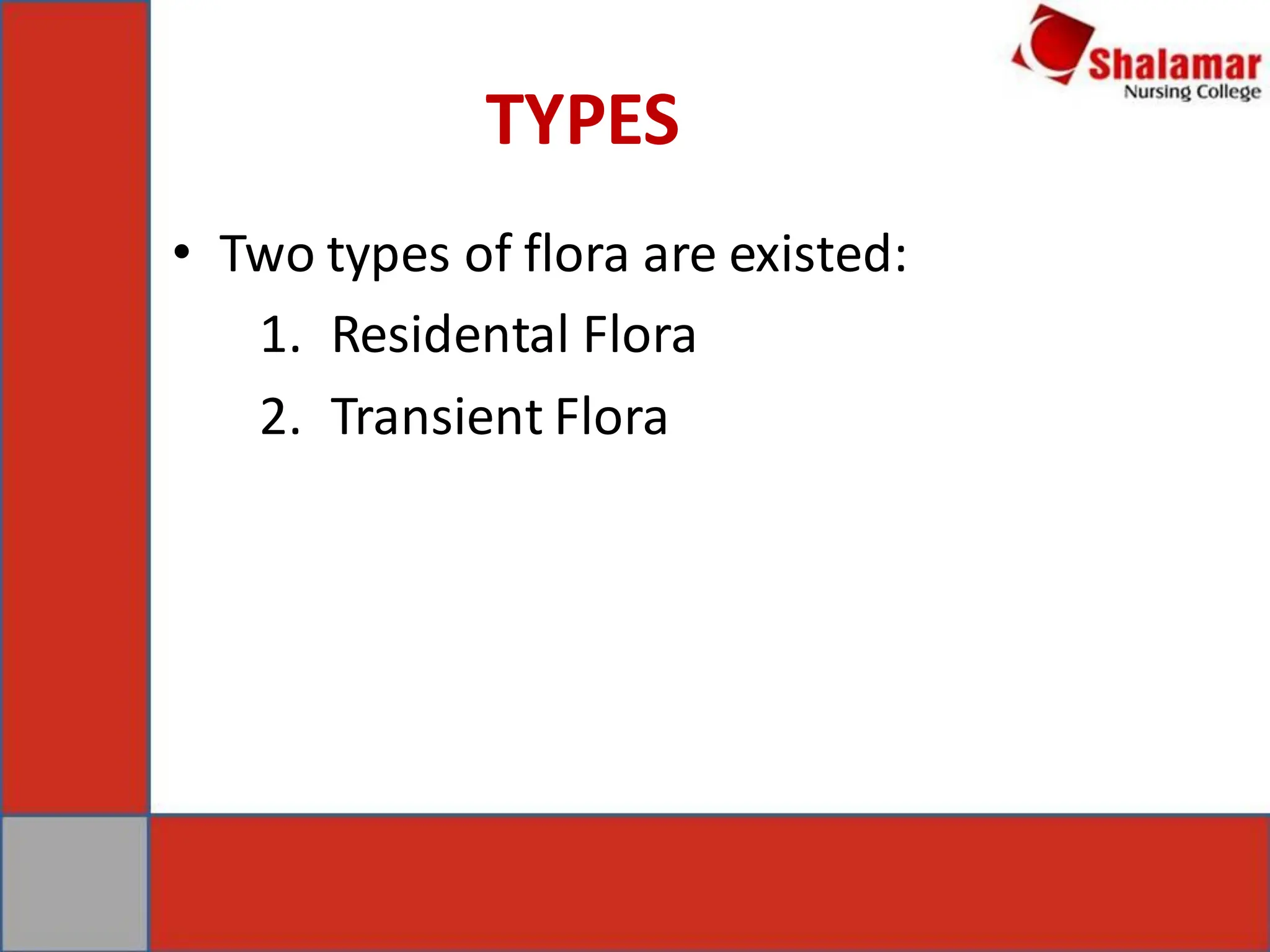 Normal Flora.pdfkkwkwkwkwwkkwwkwk389229eie | PDF