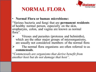 Normal Flora.pdfkkwkwkwkwwkkwwkwk389229eie | PPT