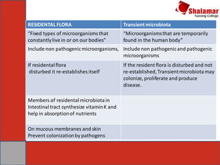 Normal Flora.pdfkkwkwkwkwwkkwwkwk389229eie | PPT