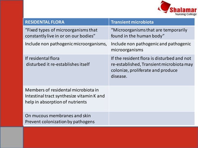 Normal Flora.pdfkkwkwkwkwwkkwwkwk389229eie | PPT