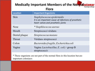 Normal Flora.pdfkkwkwkwkwwkkwwkwk389229eie | PPT