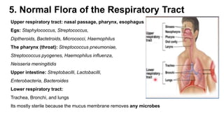 LECTURE NOTES FOR INTRODUCTION TO NORMAL FLORA.pptx
