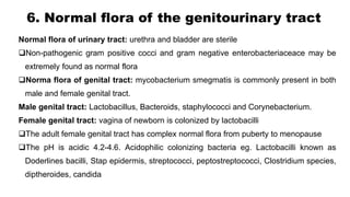 LECTURE NOTES FOR INTRODUCTION TO NORMAL FLORA.pptx