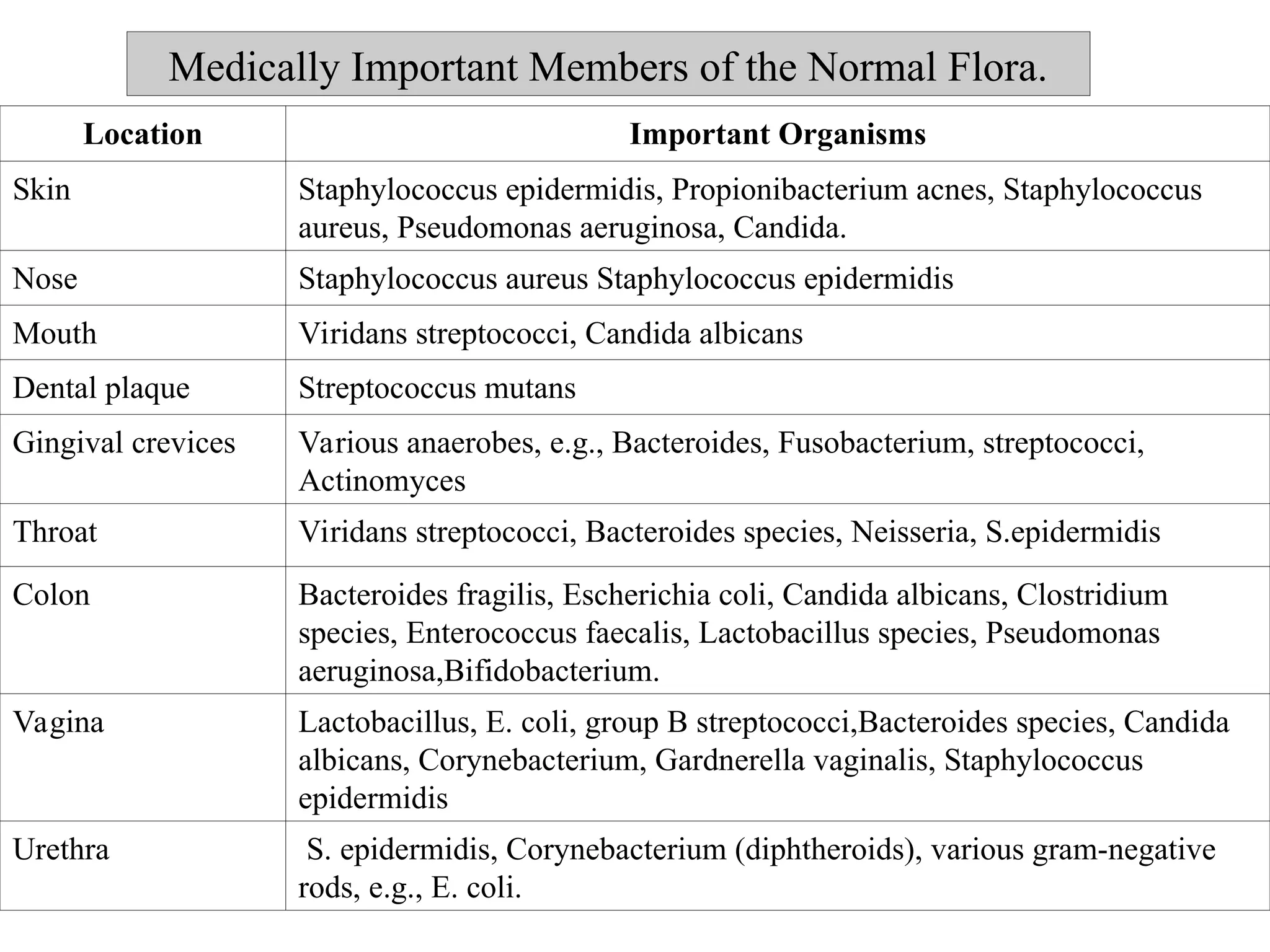 Microbiology of normal Flora of human body | PPT