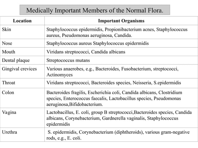 Microbiology of normal Flora of human body | PPT