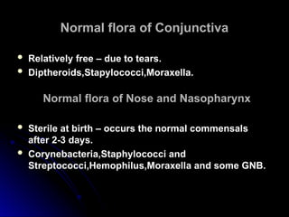 Normal flora of the human system for nursing students | PPT