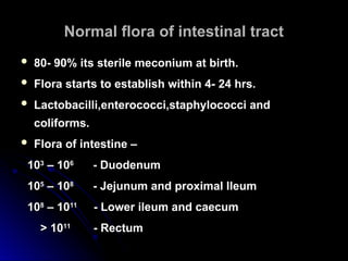 Normal flora of the human system for nursing students | PPT