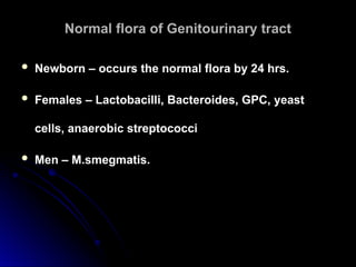 Normal flora of the human system for nursing students | PPT
