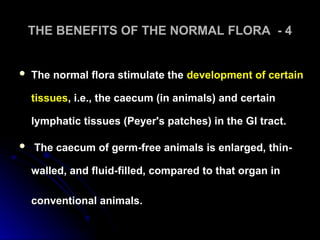 Normal flora of the human system for nursing students | PPT