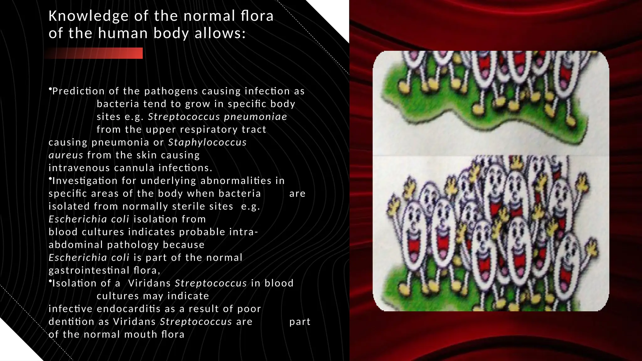 Normal Flora.pptx......................... | PPTX
