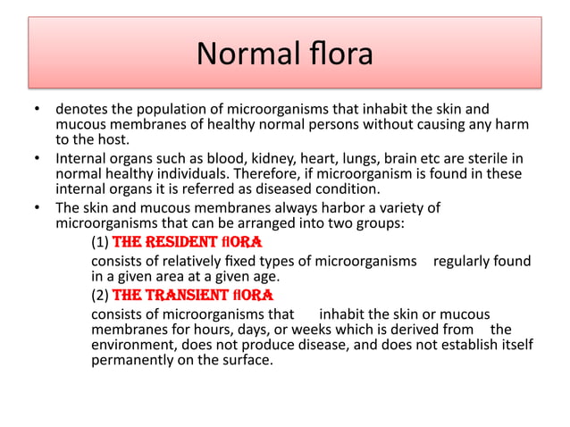 Normal flora | PDF | Skin and Dermatology | Diseases and Conditions